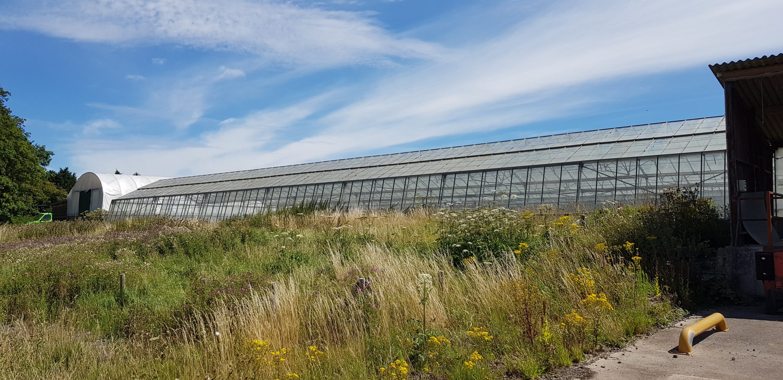 Exciting News - Genus Plant Sourcing
